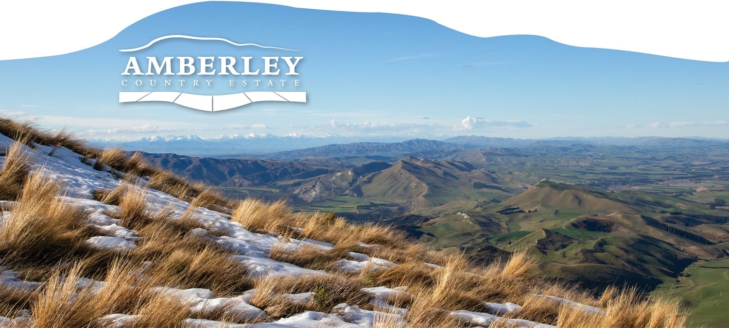 Amberley Country Estate | BSM Digital